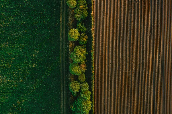 Batlokwa – is an environmental consulting company based in Randburg ...